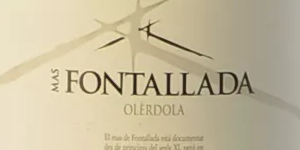 Las 20 marcas de cava mejor valoradas por nuestros clientes · Vinissimus