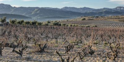 Vin de Bell Cros · Vinissimus