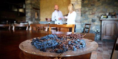 Wine from Biava · Vinissimus