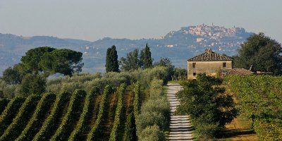 Wine from Bindella · Vinissimus