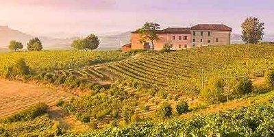 Weine von Braida online Kaufen | hispavinus.de