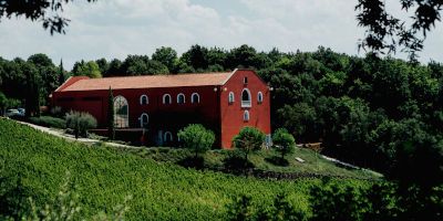Wine from Caiarossa · Vinissimus