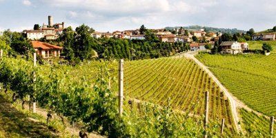 Weine von Cavallotto online Kaufen | hispavinus.de