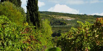 Wine from Corte Giara · Vinissimus