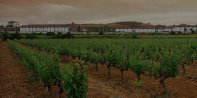 Wine from El Coto de Rioja · Vinissimus