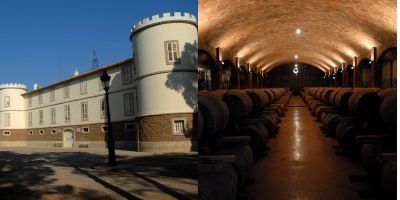 Vino de Castell del Remei · Vinissimus
