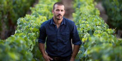 Vino di Domaine Jean-Paul & Benoît Droin · Italvinus