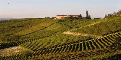 Vietti - Vinissimus - Achat de vins italiens