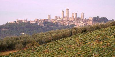 Wine from Fontaleoni · Vinissimus