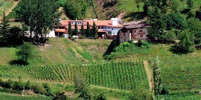 Wine from Franz Haas · Vinissimus