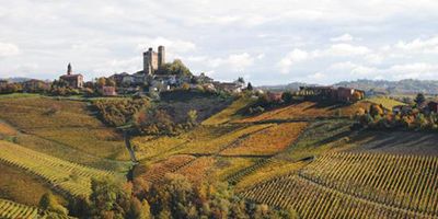 Wine from Gabutti-Boasso · Vinissimus