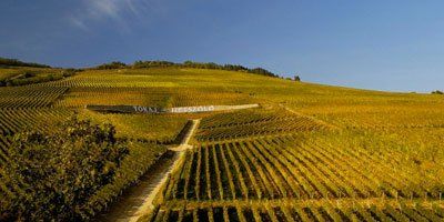 Vino de Tokaj-Hétszolo · Vinissimus