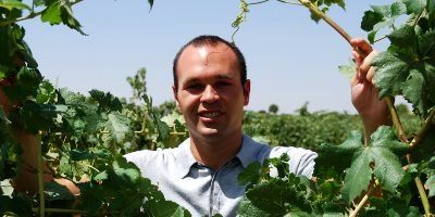 Wine from Bodega Iniesta · Vinissimus