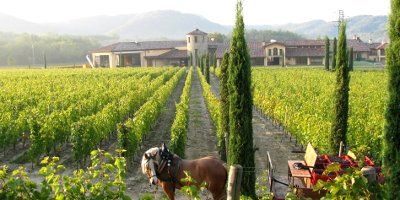 Vino de Jermann · Vinissimus