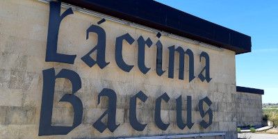 Weine von Lácrima Baccus online Kaufen | hispavinus.de