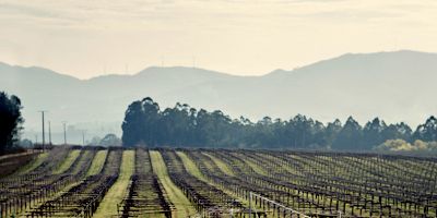 Wine from Bodegas La Val · Vinissimus