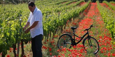 Vin de Bodegas Osoti · Vinissimus