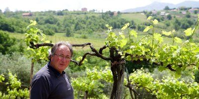 Wine from Perillo · Vinissimus