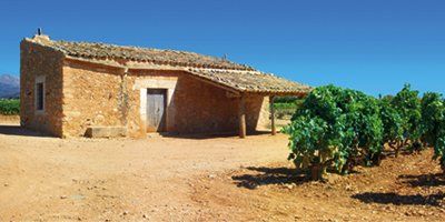 Wine from Bodega Ribas · Vinissimus
