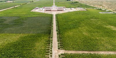 Wine from Bodega Rutini Wines · Vinissimus