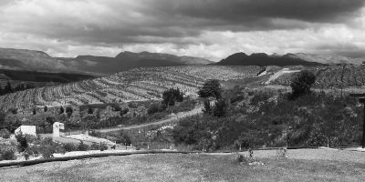 Vin de Spioenkop Wines · Vinissimus