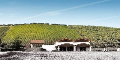 Wein von Talamonti Montepulciano d'Abruzzo Modà - Montepulciano d ...