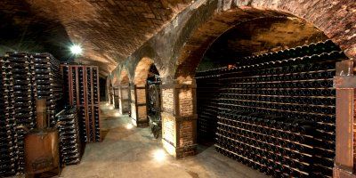 Torelló · Vinissimus