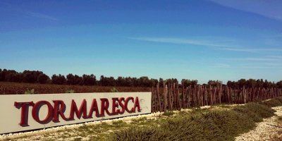 Wine from Tormaresca · Vinissimus