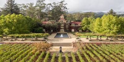 Vin de Inglenook · Vinissimus