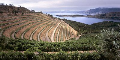 Vino de Perelada · Vinissimus