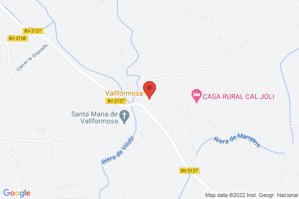 Cava de Vallformosa · Vinissimus