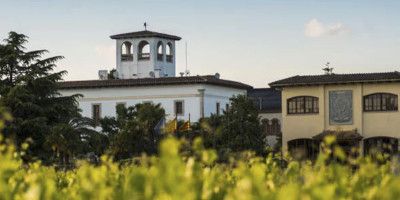 Cava de Vallformosa · Vinissimus