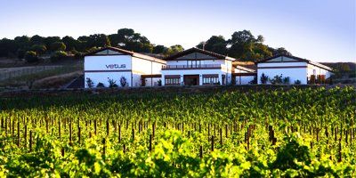Wine from Bodegas Vetus · Vinissimus