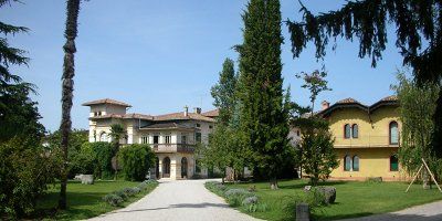 Vin de Volpe Pasini · Vinissimus