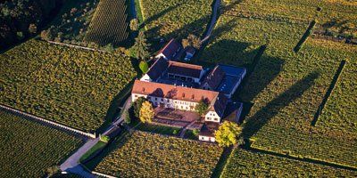 Wine from Domaine Weinbach · Vinissimus