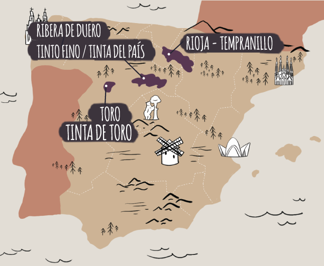 La tempranillo: todo lo que necesita saber sobre esta uva y sus vinos ...
