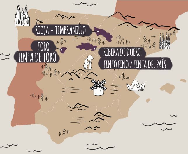 The Tempranillo: all you need to know about this grape and its wines ...