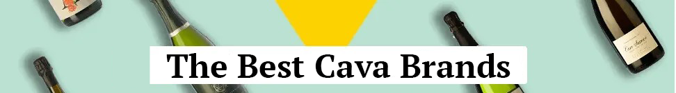 The 20 best rated cava brands by our customers · Vinissimus