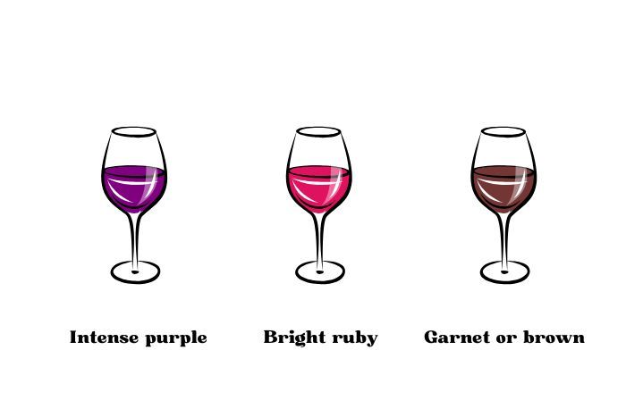 Wine Colour Explained | Vinissimus