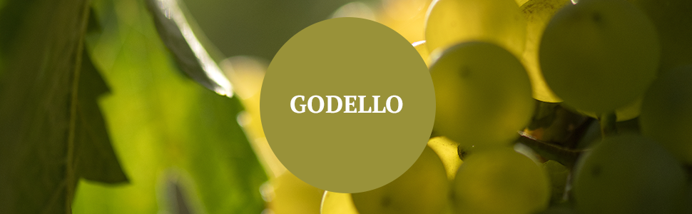 Los 8 mejores vinos godello por menos de 15€ · Vinissimus