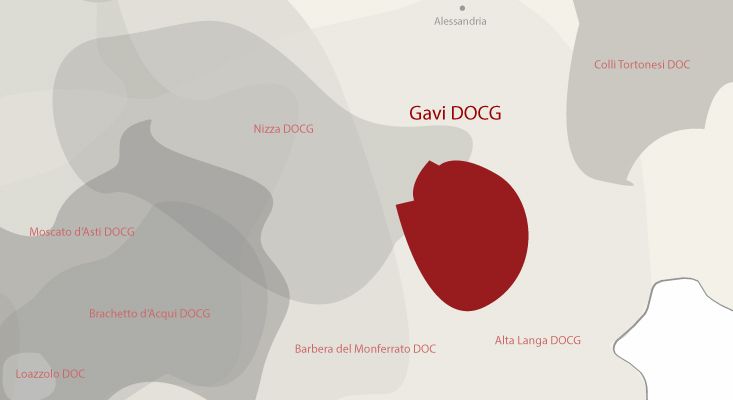 Gavi DOCG Wine · Vinissimus