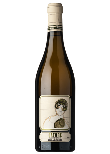Wein von Sella & Mosca Alghero Torbato Catore - Alghero DOC - online ...
