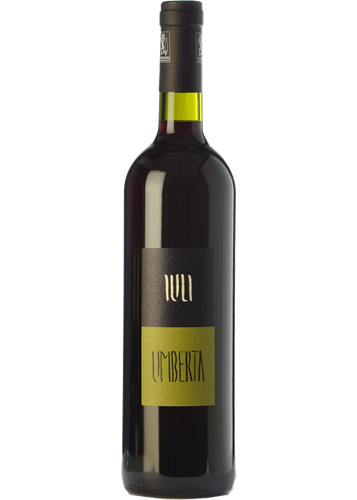 Iuli Barbera Umberta 2019 · Buy it for £17.90 at Vinissimus